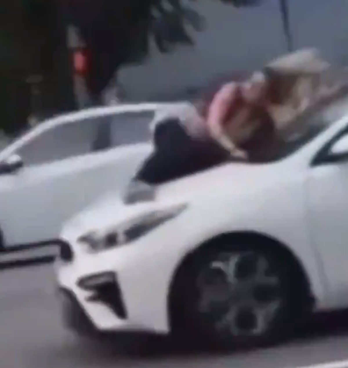 Vídeo mulher se segura ao capô do carro das pessoas que raptaram seu cachorro