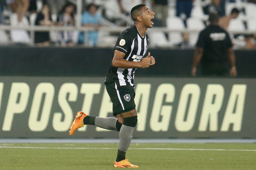 Não é líder por acaso Como o Botafogo foi da Taça Rio à liderança do Brasileirão