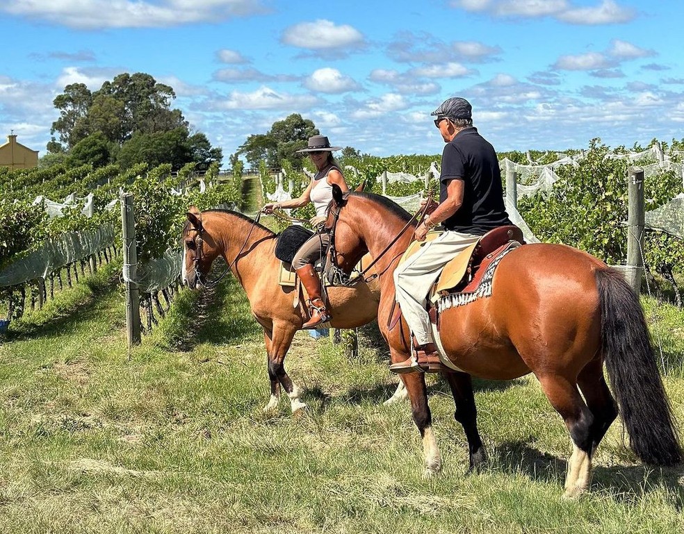 De Xororó a Bruno Gagliasso e Giovanna Ewbank, veja quem são os fazendeiros famosos; fotos