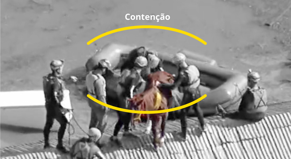 Entenda em 7 passos o resgate do cavalo ilhado em cima de telhado por ...