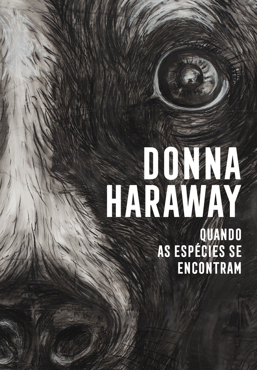 Donna Haraway: 'A Amazônia tem integridade própria, não é uma ...