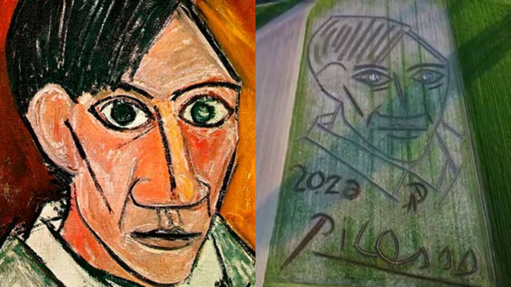 Picasso ganha retrato gigante em terreno na Itália em homenagem aos 50 ...