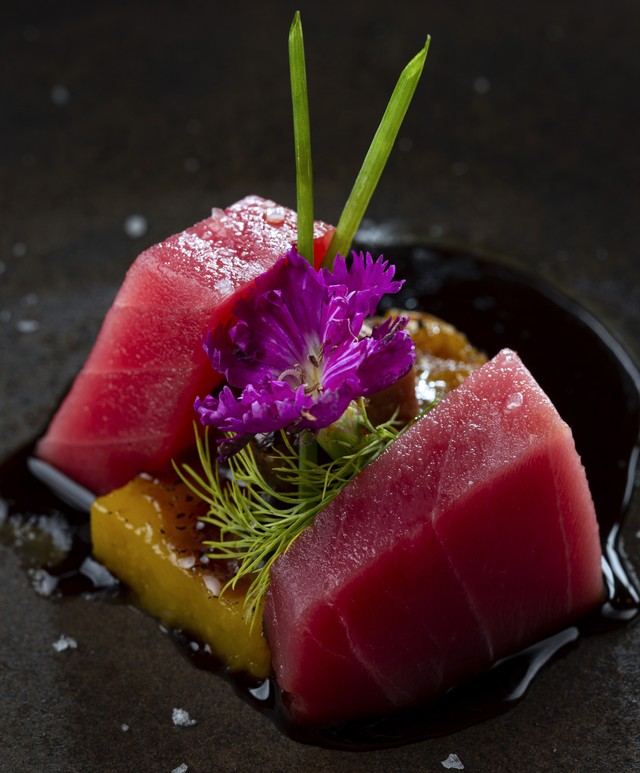 No Dia Mundial do Atum, conheça o bluefin, espécie mais cara do mundo