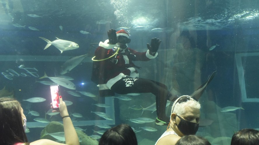 Papai Noel com tubarões é atração da temporada de Natal do AquaRio