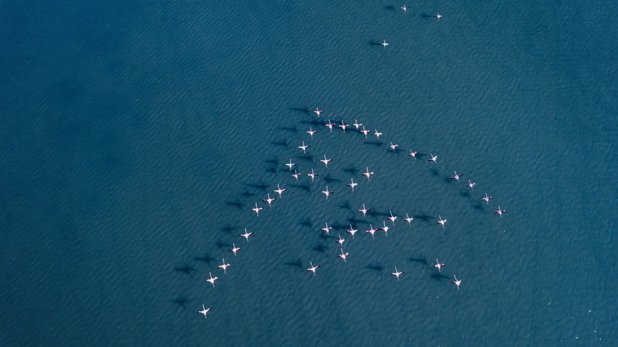 María Ospina Pizano desarma barreiras ao convidar leitor a imaginar o ...