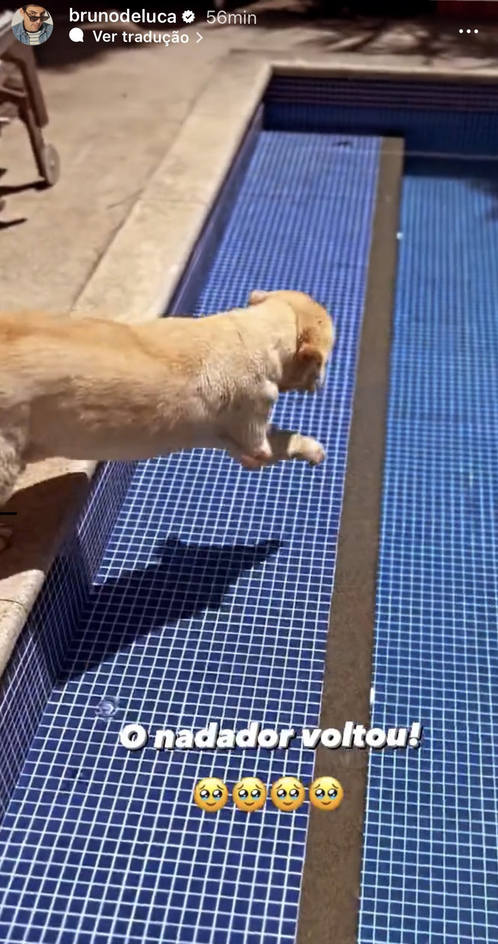 Bruno de Luca volta a postar nas redes após desabafo sobre caso de ...