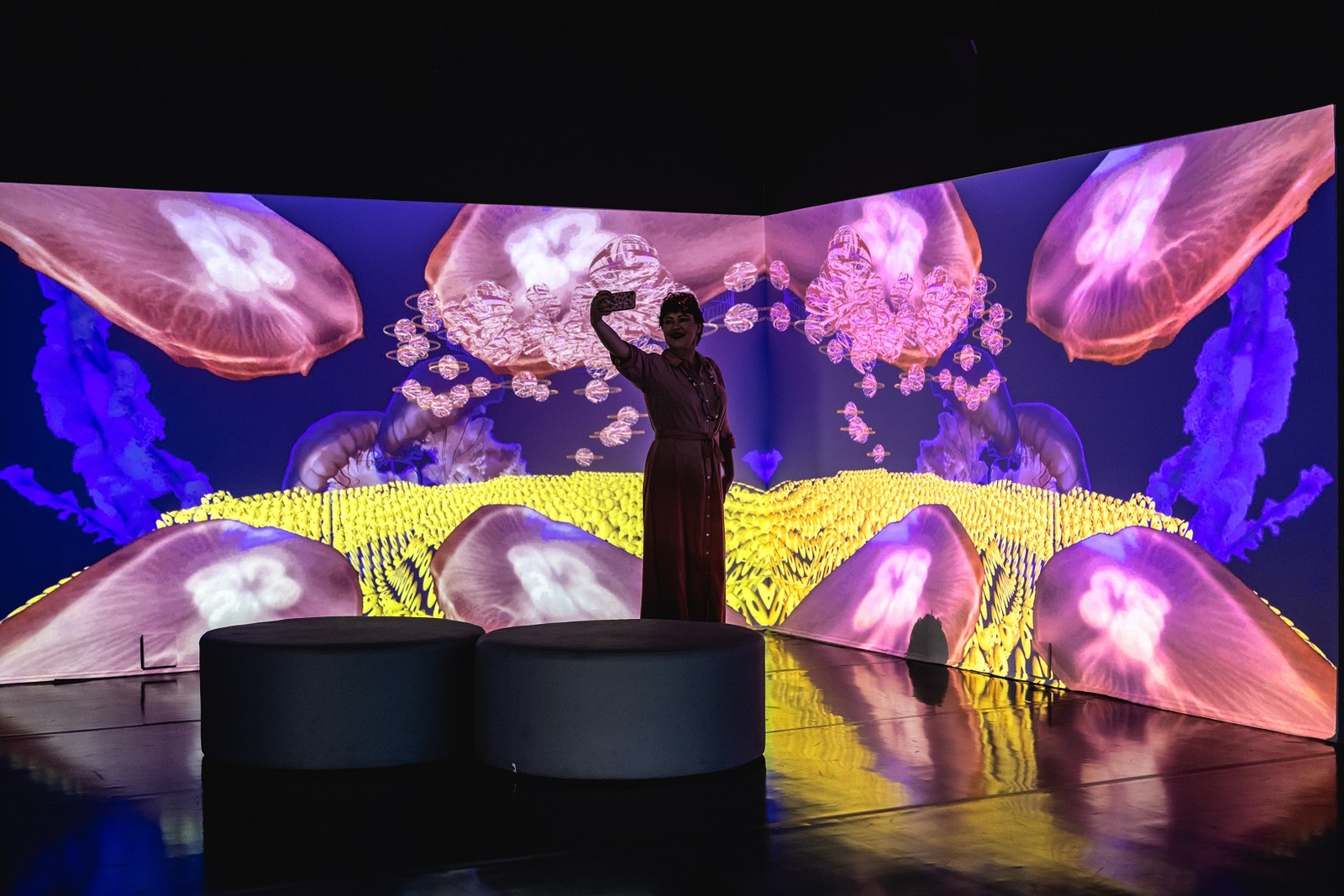 Galeria carioca totalmente dedicada à arte tecnológica exibe mostra de ...