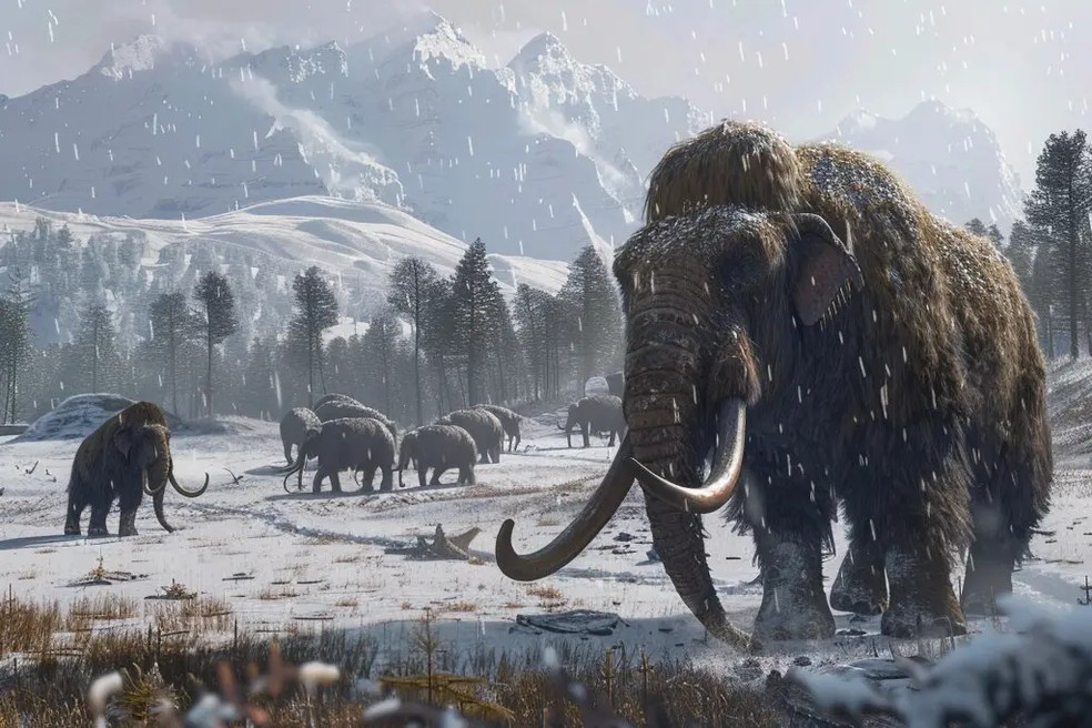 De dodôs a mamutes: as espécies animais extintas que a ciência busca ...
