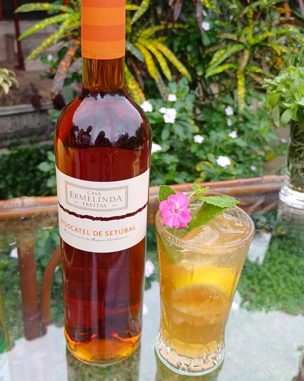 Drinques com vinho? Mixologista Flavia Di ensina dois coquéteis com o ...