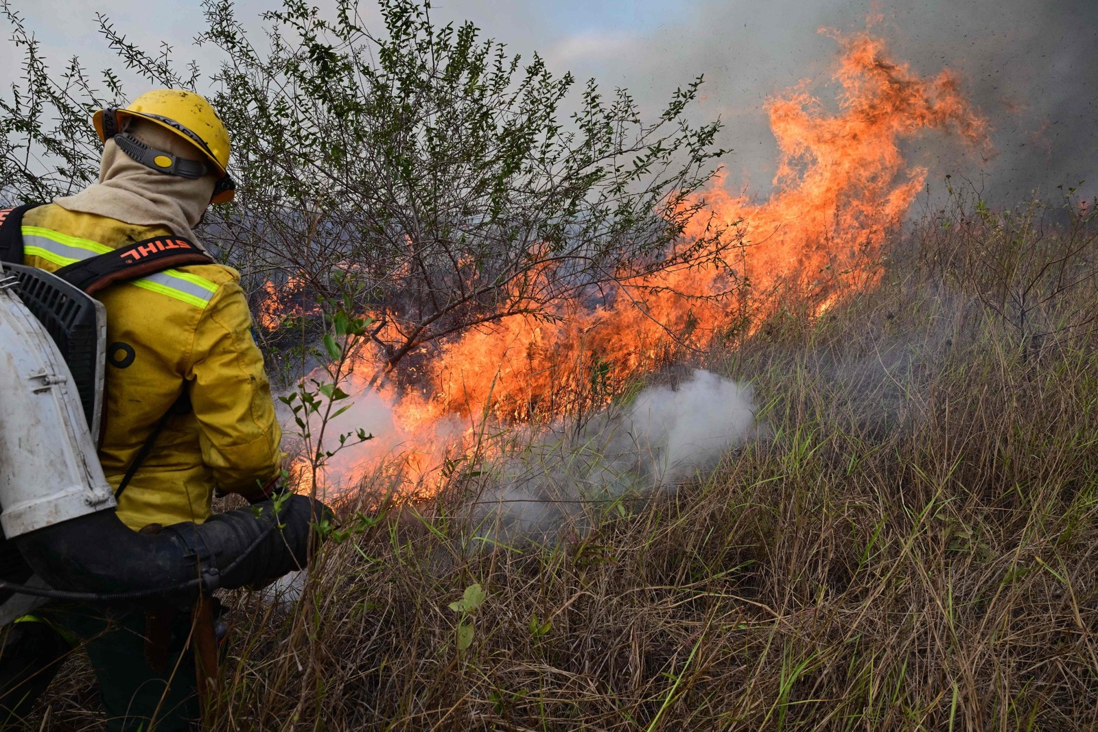 Operação identifica 18 locais de origem de incêndios que queimaram 56 ...