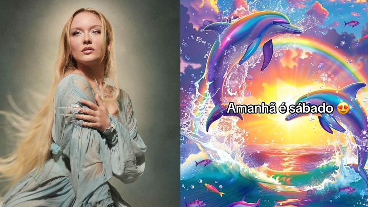 Rock in Rio 2024: Zara Larsson viraliza com meme de golfinho arco-íris ...