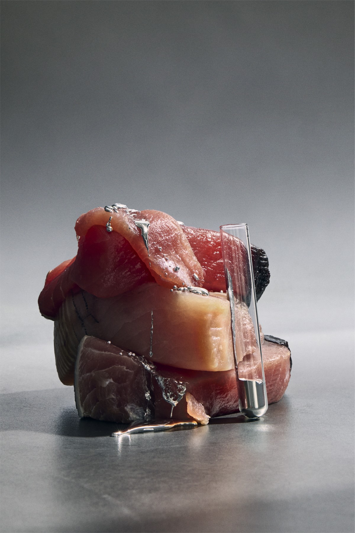 Atum: o de latinha é menos nutritivo? Como escolher o peixe com menos ...