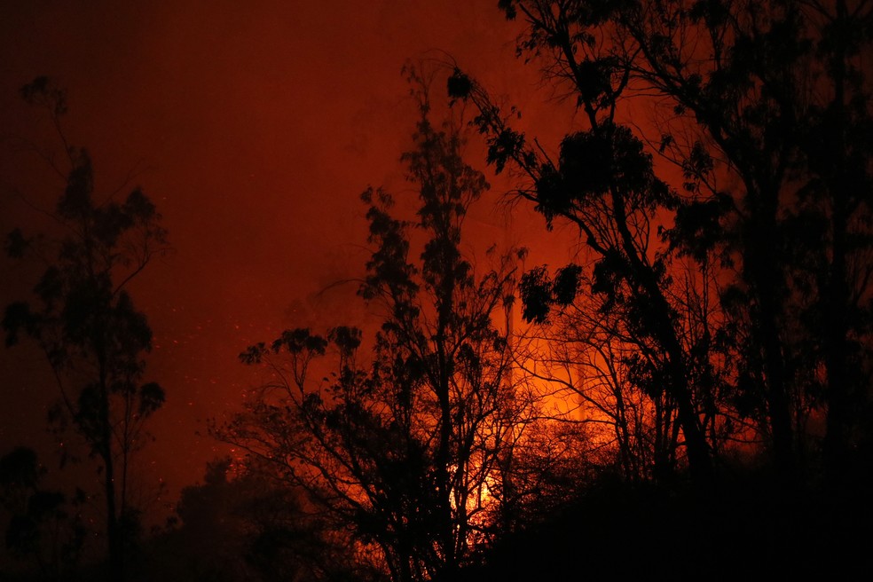 Cinco incêndios florestais simultâneos deixam Quito em 'situação crítica'