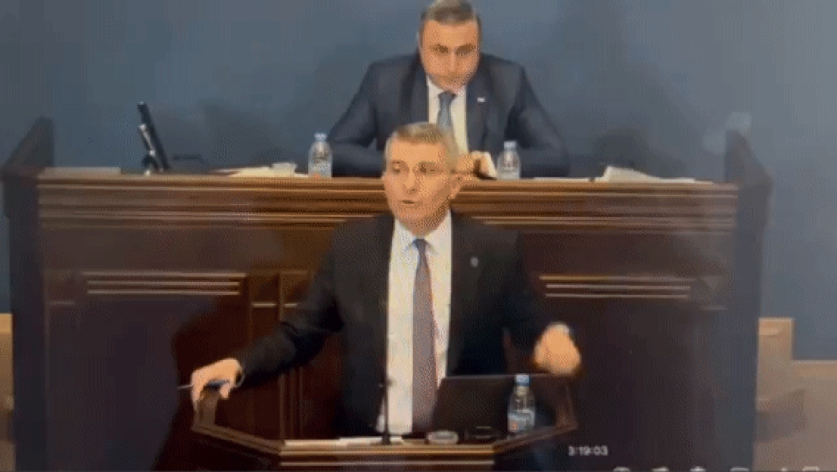 Parlamentares da Geórgia saem no soco durante discussão de projeto de ...
