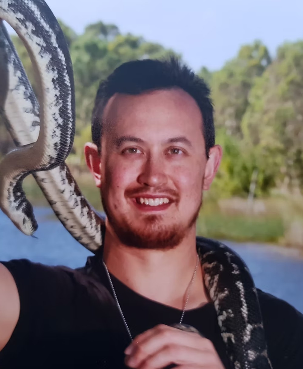Cobra é encontrada em avião na Austrália, e especialista precisa ser ...