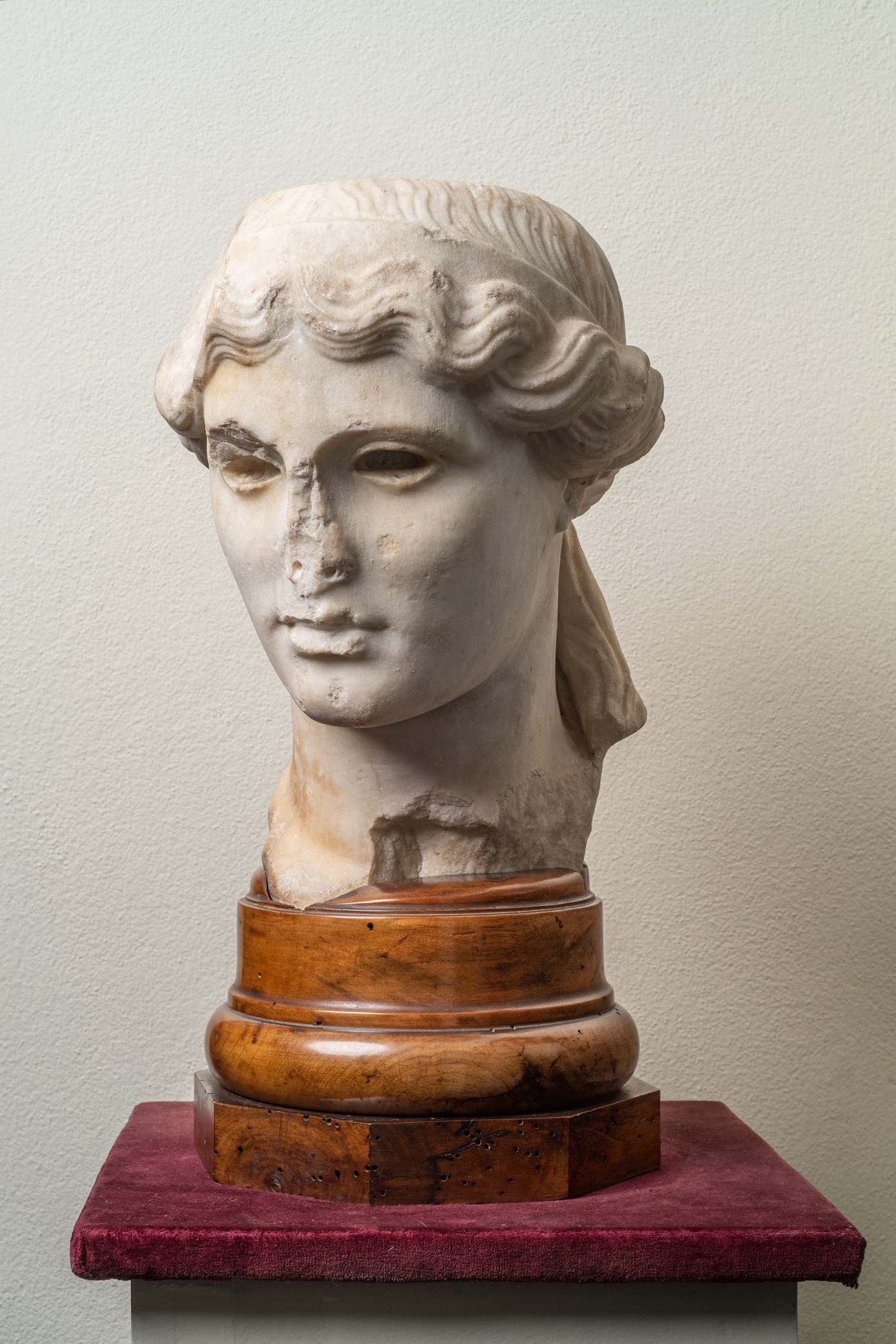 Pinturas de Selarón, últimos dias de Beth Jobim e mais: as exposições ...