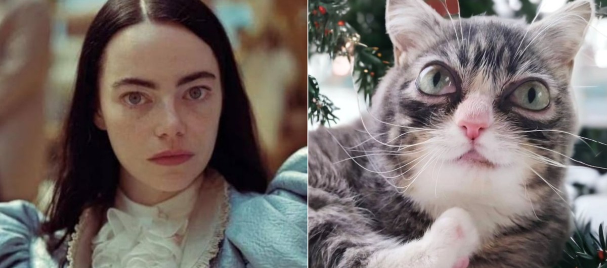 Emma Stone, é você? Web se impressiona com semelhança entre gatinha e ...