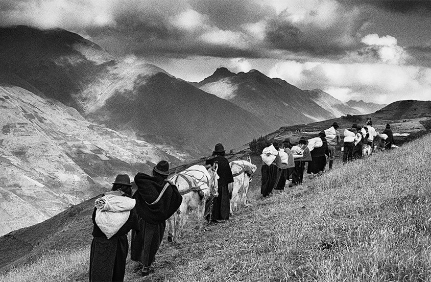 Documentário sobre Sebastião Salgado dirigido por Wim Wenders foi ...