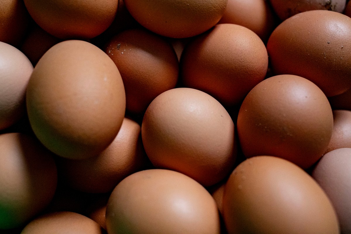 Granja Faria, do 'Rei do Ovo', compra uma das maiores produtoras dos ...