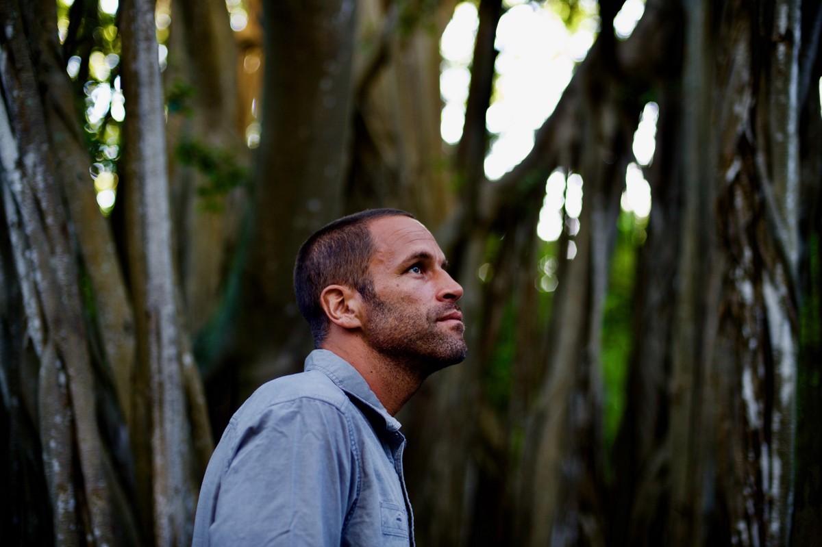 Jack Johnson lança oitavo álbum e reflete sobre redes sociais: 'Parece ...