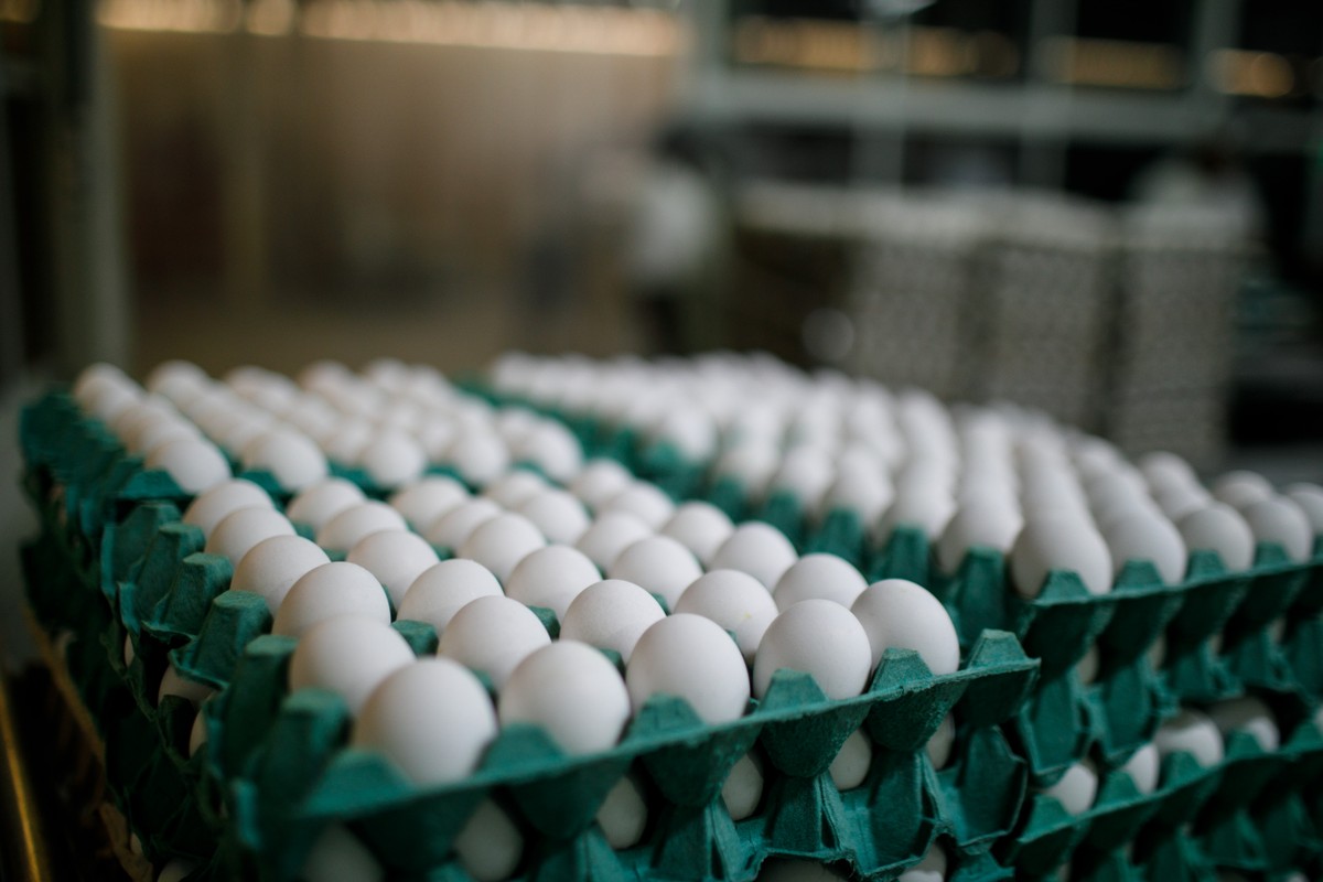 JBS compra 50% da Mantiqueira e marca sua entrada no setor de ovos