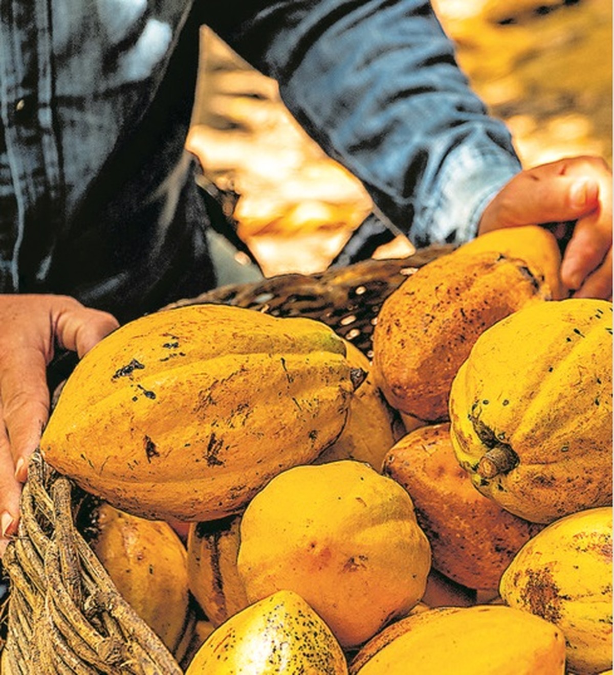 Do pequeno ao grande produtor, a ordem é preservar