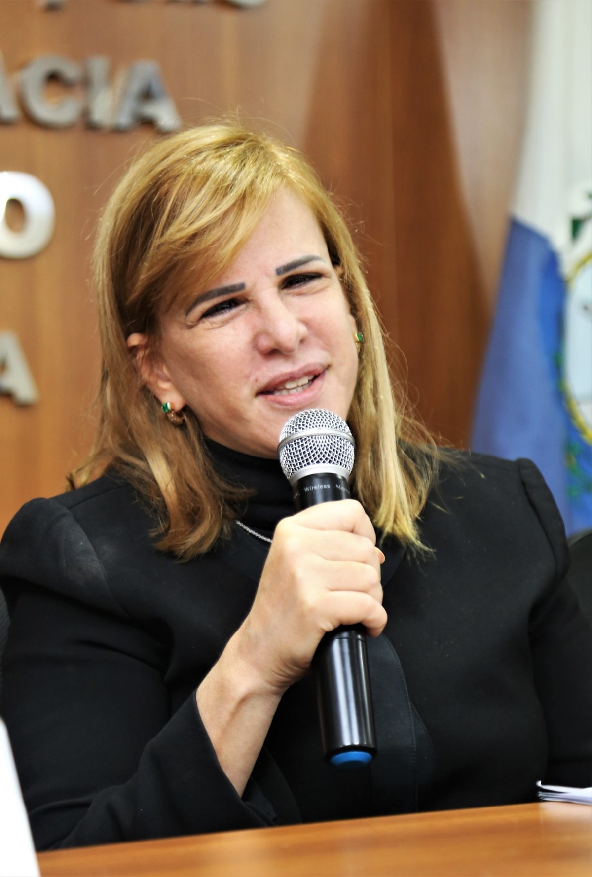 Eleições na OAB-RJ: Advogada Ana Tereza Basilio é a primeira mulher ...