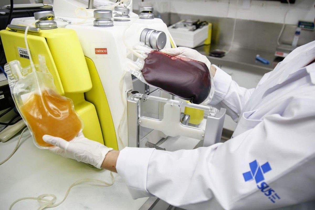 PEC do Plasma: entenda o que é o projeto que libera a comercialização ...