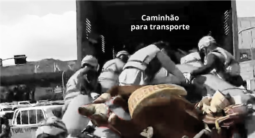 Entenda em 7 passos o resgate do cavalo ilhado em cima de telhado por ...
