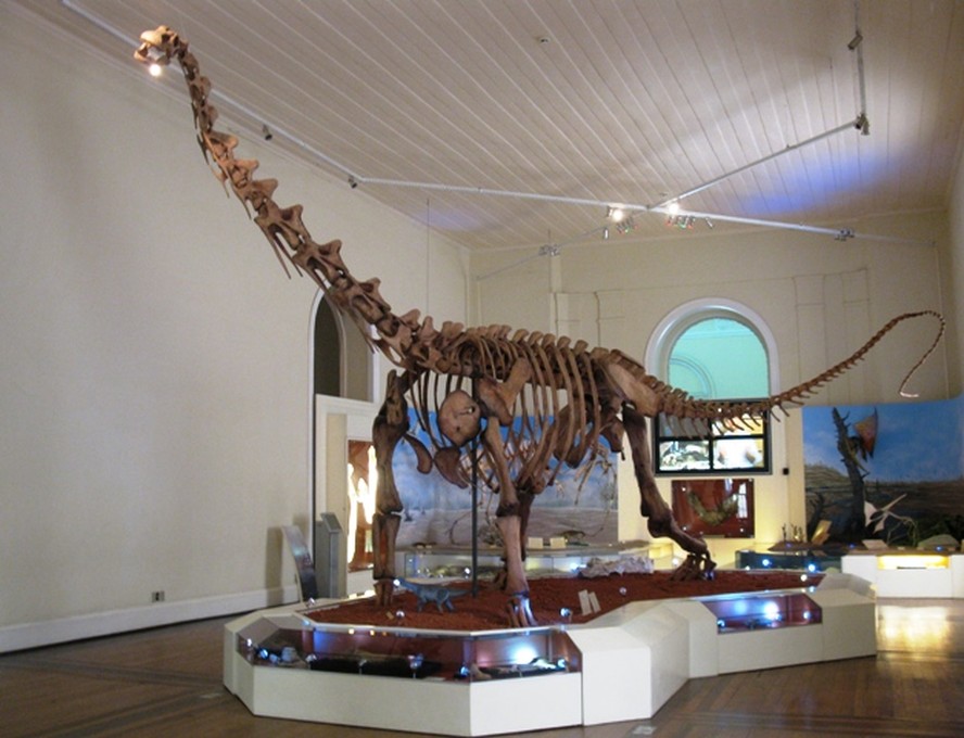 Conheça maior dinossauro que viveu no Brasil: Museu Nacional pede ...