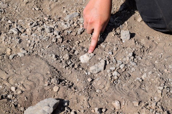 Fóssil de pé encontrado na Etiópia revela possível parente de Lucy que ...