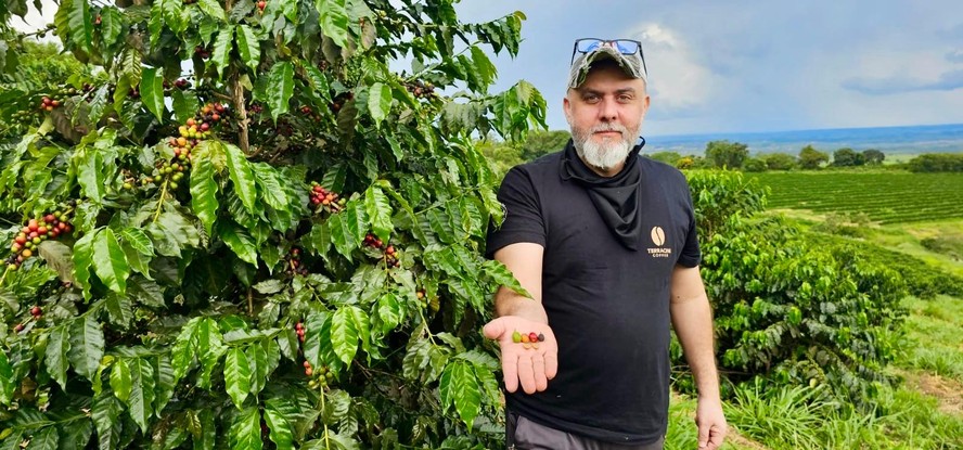 Aposta em cafés especiais traz ganhos com exportação
