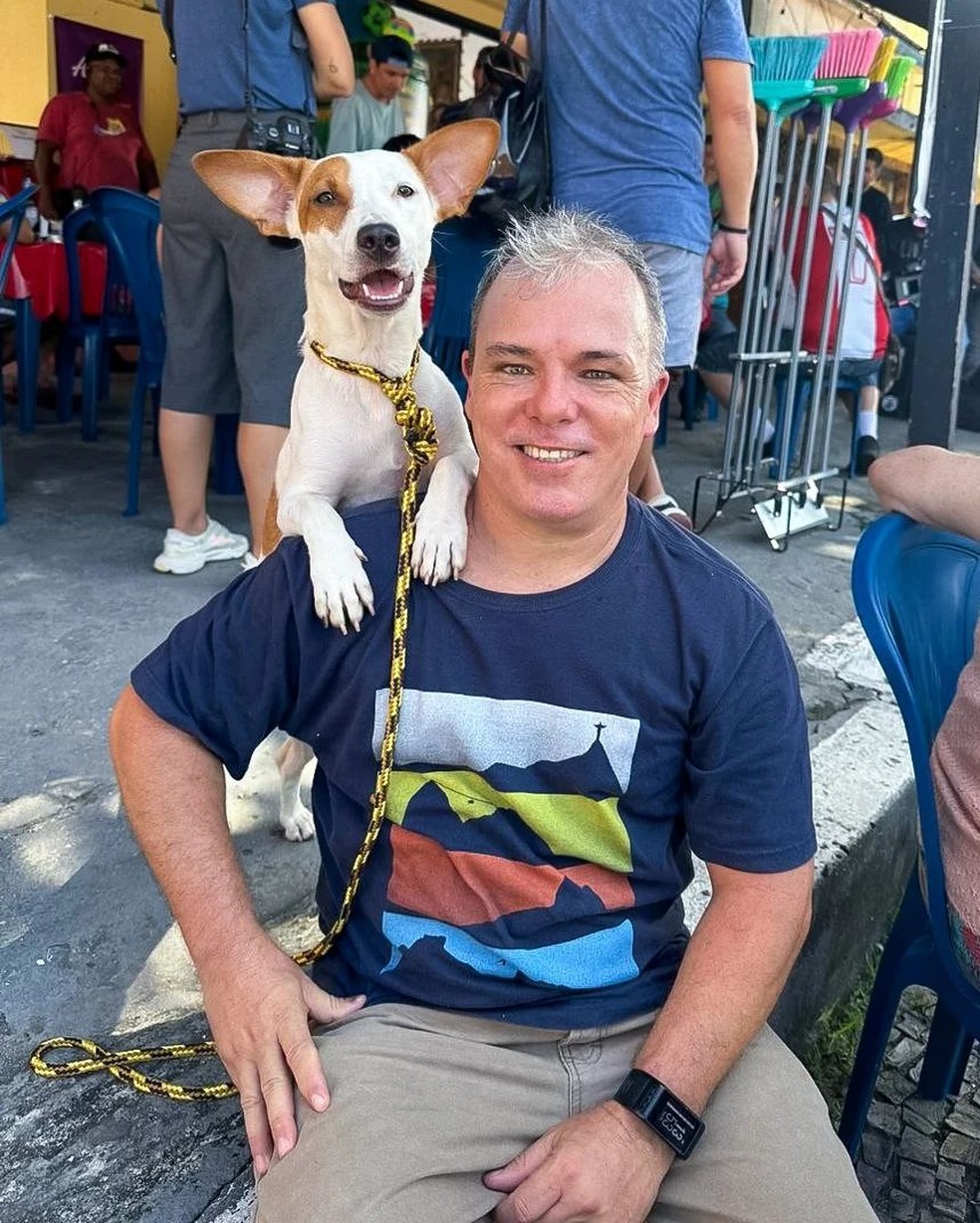 Pets escalados para fotografar com elenco de 'Bridgerton' no Rio são ...