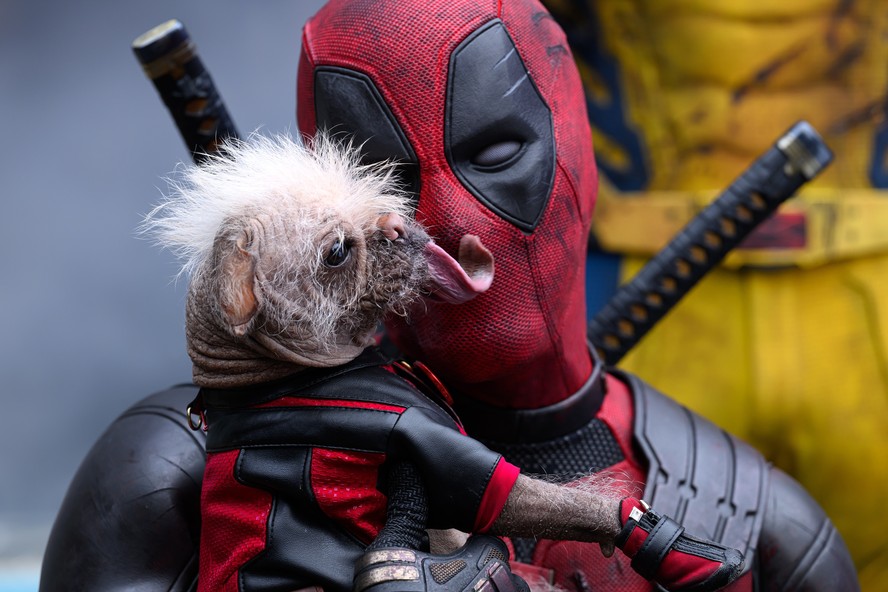 Prêmio por 'feiura', milhares de seguidores e destaque em 'Deadpool ...