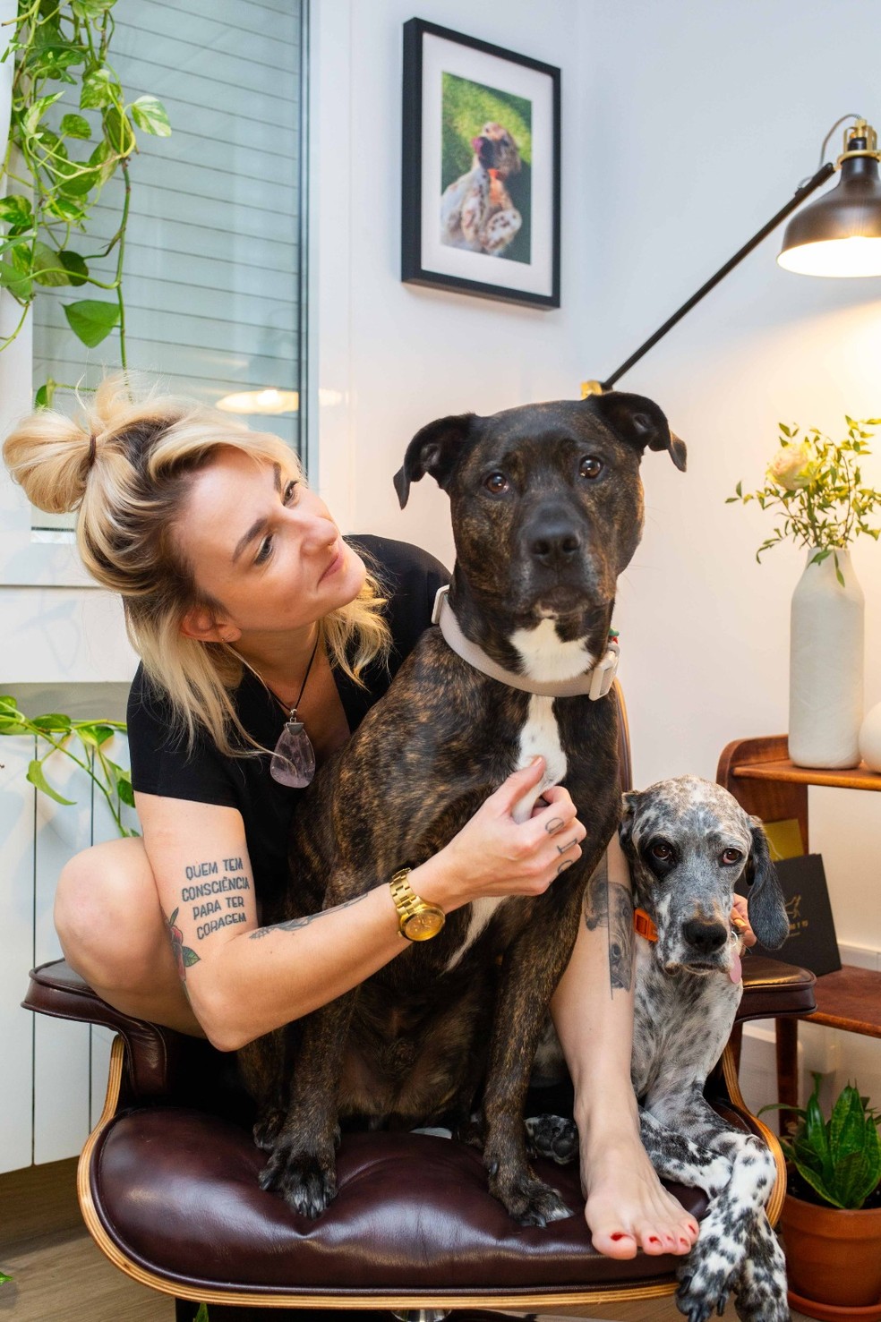 Com quem fica o pet? Ex-casais optam por dividir cuidado dos animais ...