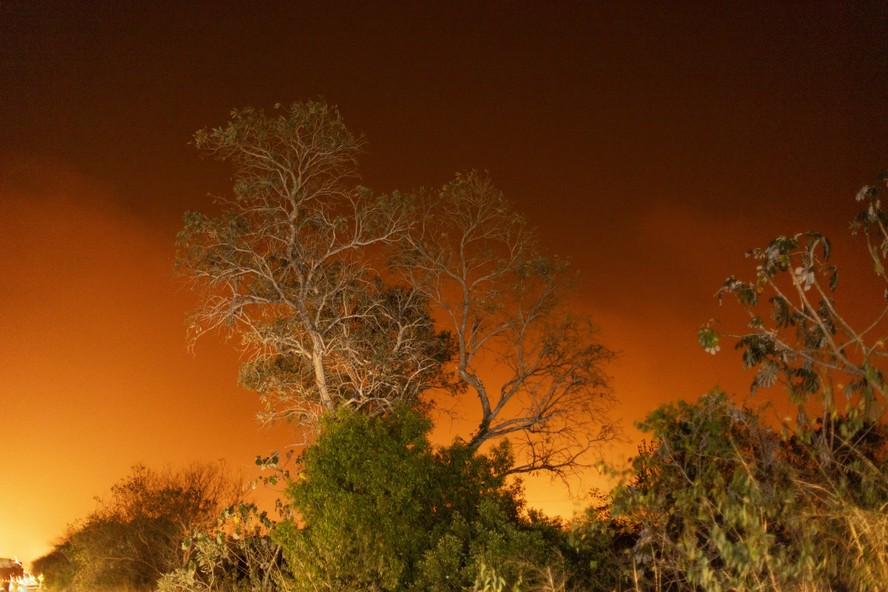Governo solicita R$150 milhões do Fundo Amazônia para combater ...