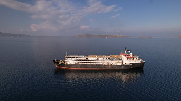 Navio desaparecido com 3 mil bovinos atraca na Líbia; ONGs projetam ...