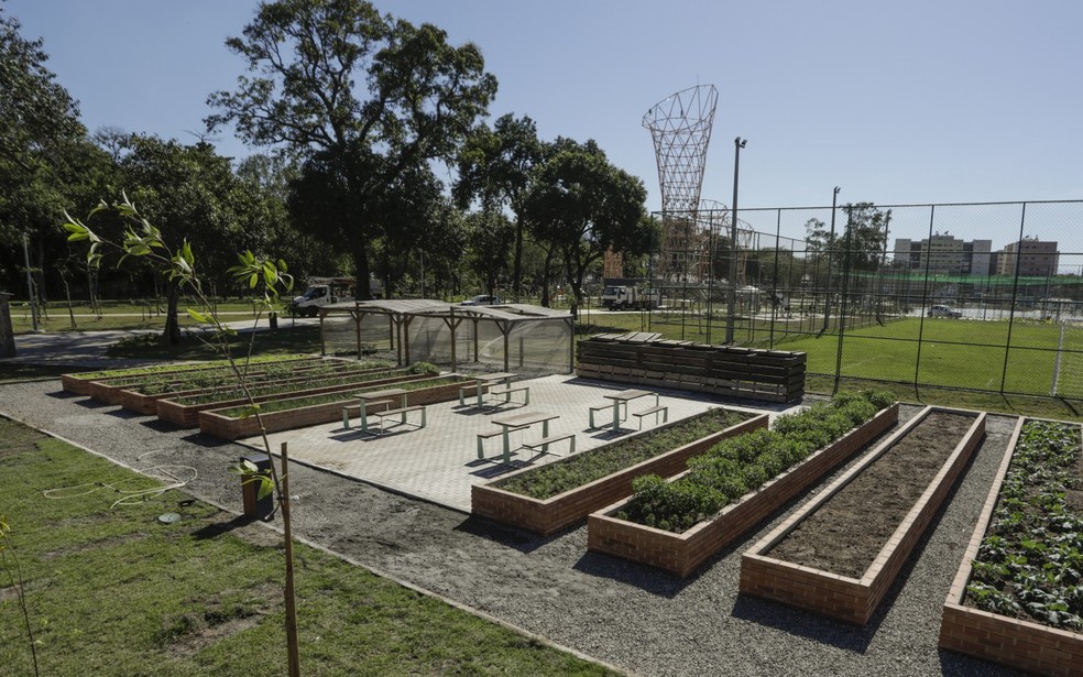 Novo parque público em Realengo tem plantio de 3,7 mil árvores e ...