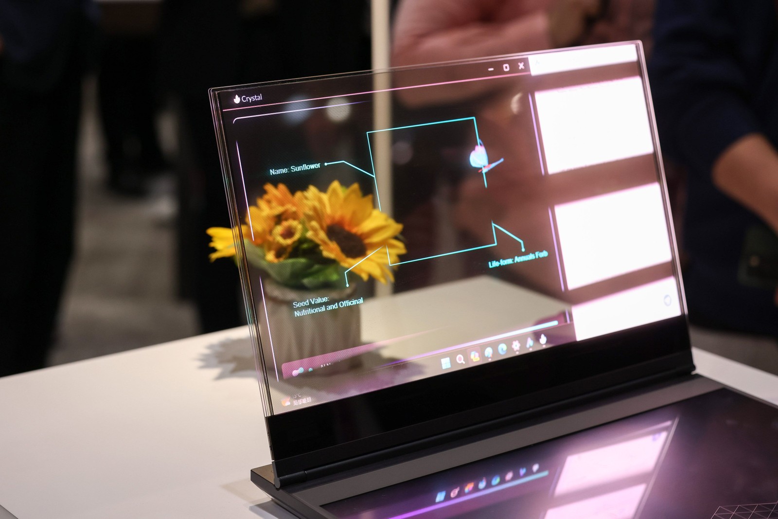 Blindsight: conheça chip cerebral com o qual Musk promete devolver ...