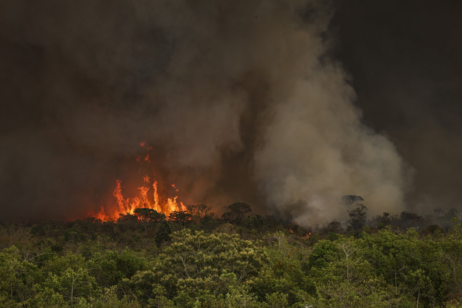 Incêndio de grandes proporções atinge dezenas de casas no litoral de SP ...