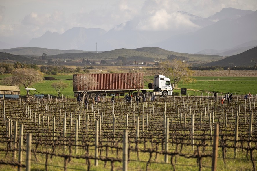 Fazendeiros brancos da África do Sul são as primeiras vítimas do ...