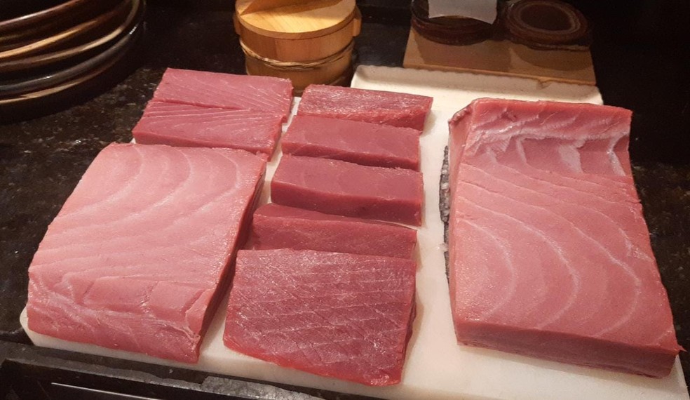 No Dia Mundial do Atum, conheça o bluefin, espécie mais cara do mundo