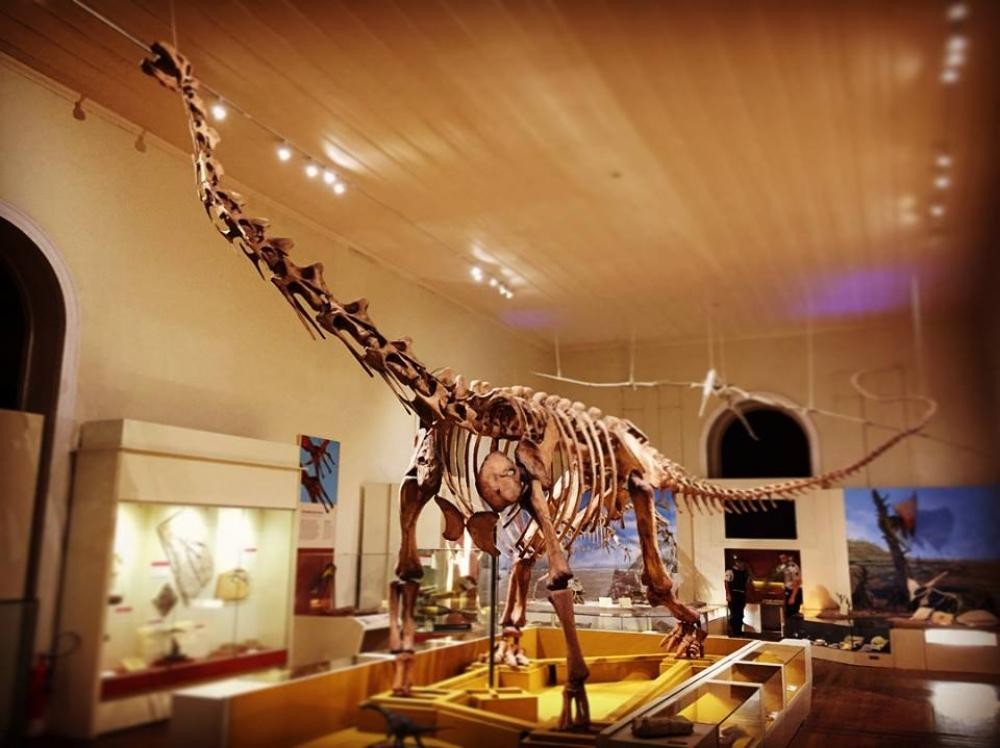 Conheça maior dinossauro que viveu no Brasil: Museu Nacional pede ...