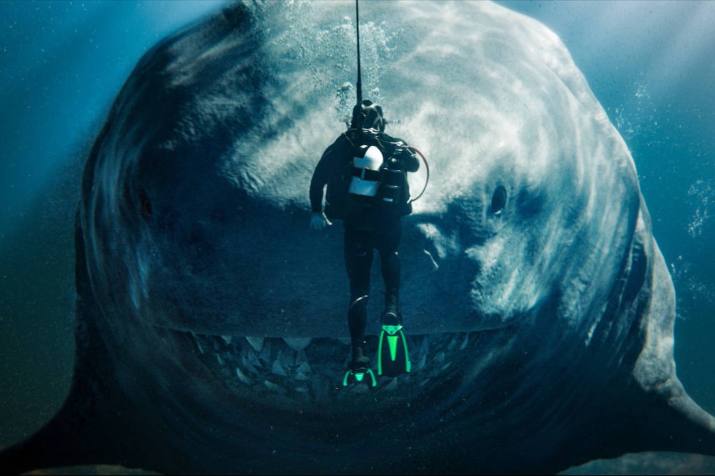 Imagem mostra momento em que surfista que teve perna arrancada é ...