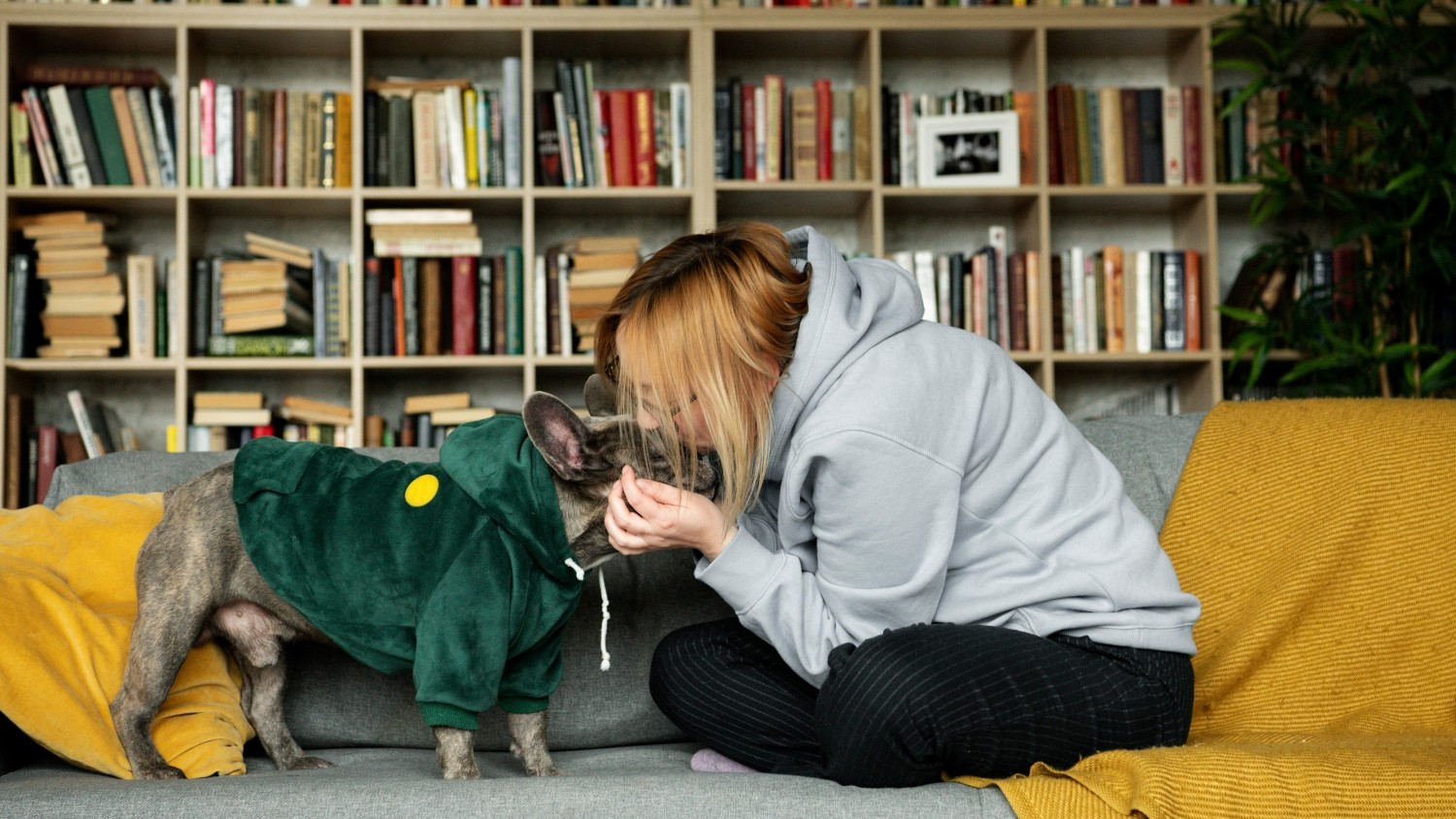 Por que a relação com pets pode gerar ansiedade entre tutores
