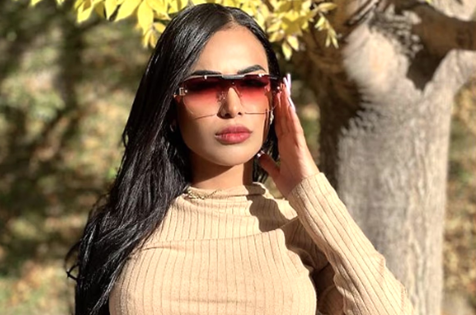 Empresária, atriz de novelas e de propagandas: motorista que atropelou ...