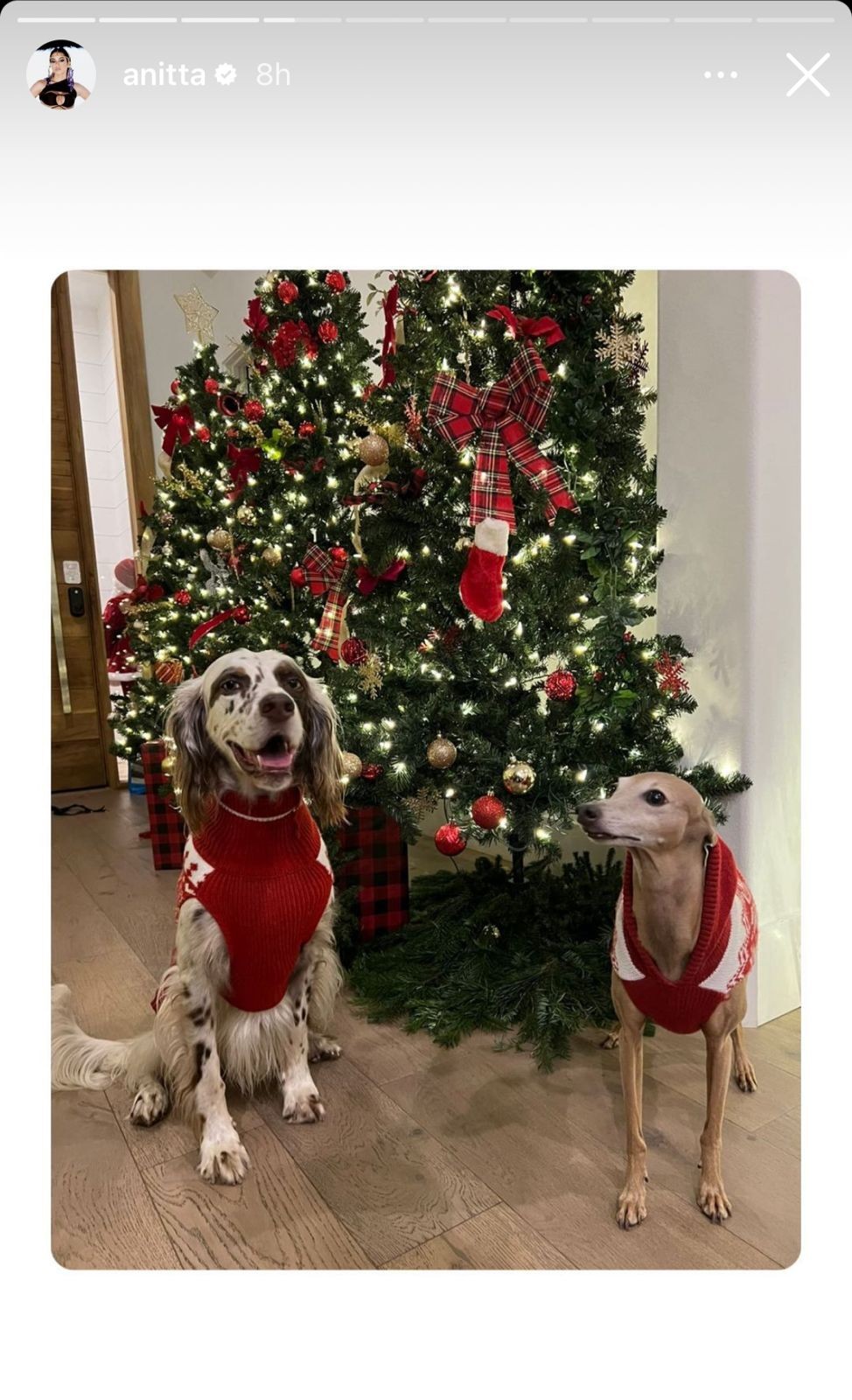 Nos EUA, Anitta mostra decoração de casa onde vai passar o Natal ...