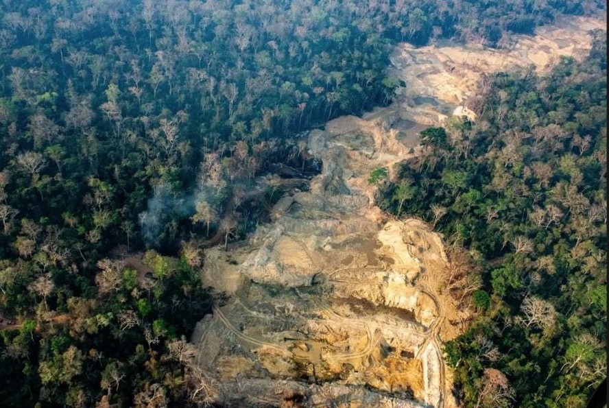 Em sobrevoo, Greenpeace identifica volta de garimpeiros à Terra ...