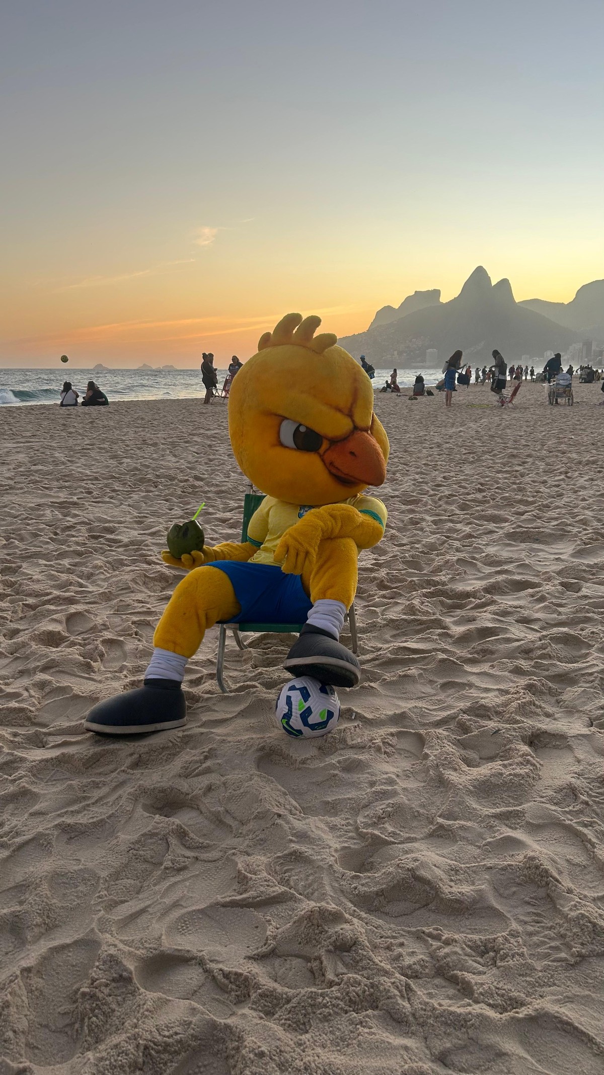 Canarinho 'dá rolé' pelo Rio antes de jogo da seleção, último no Brasil ...