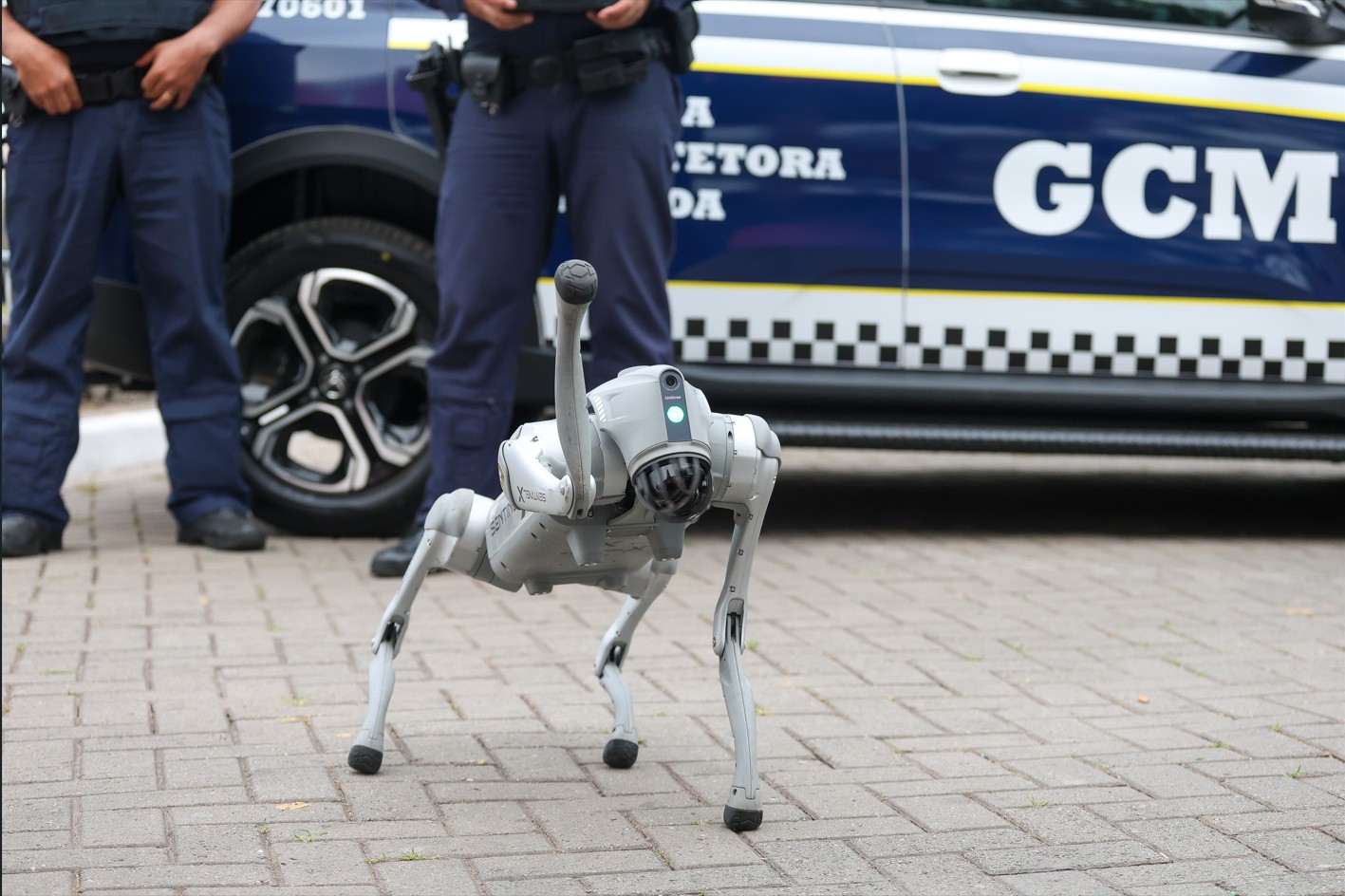 China testa cães robôs para monitorar e prender suspeitos; entenda